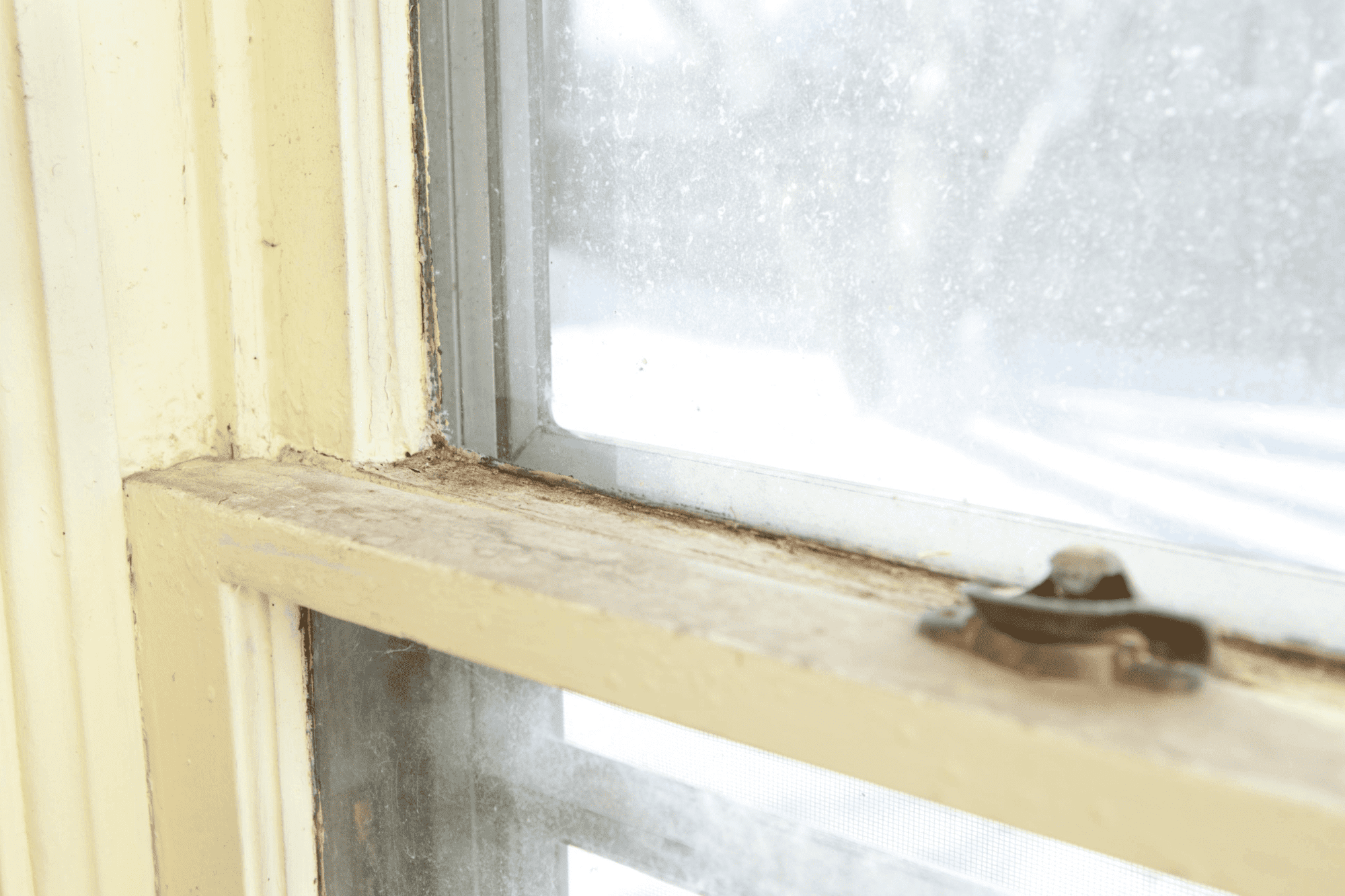 When Is It Time to Replace Your Home's Windows?